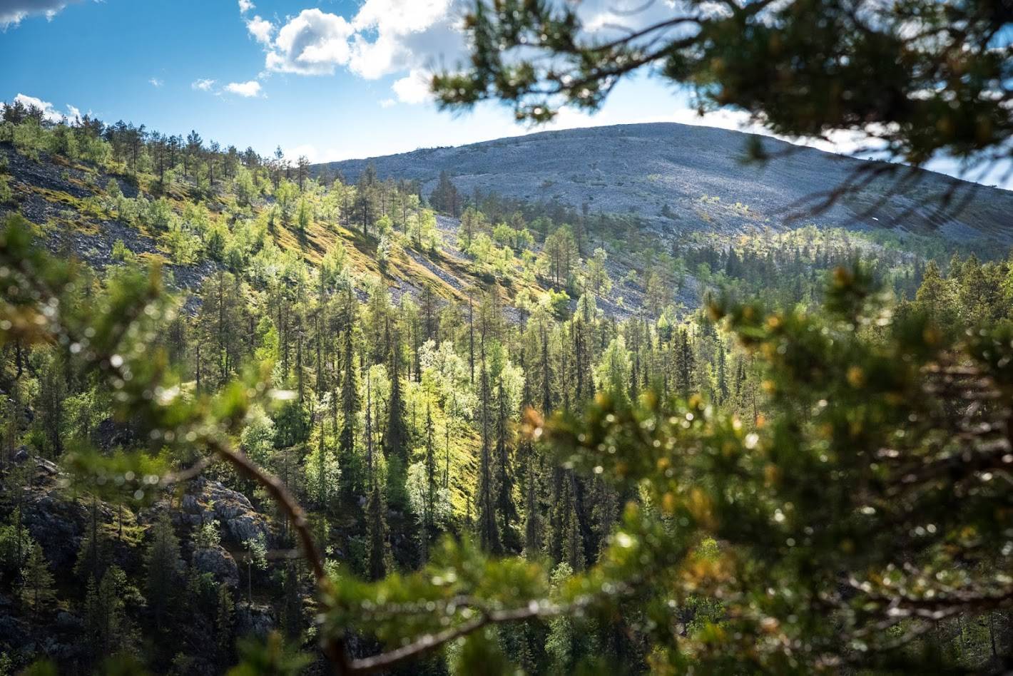 Pyhä-Luosto National Park | Visit Sodankylä